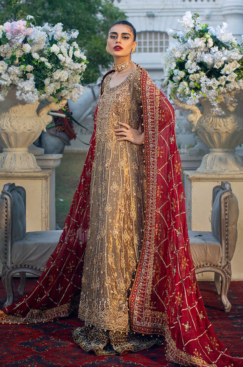 Haseena Begum – Sadaf Amir