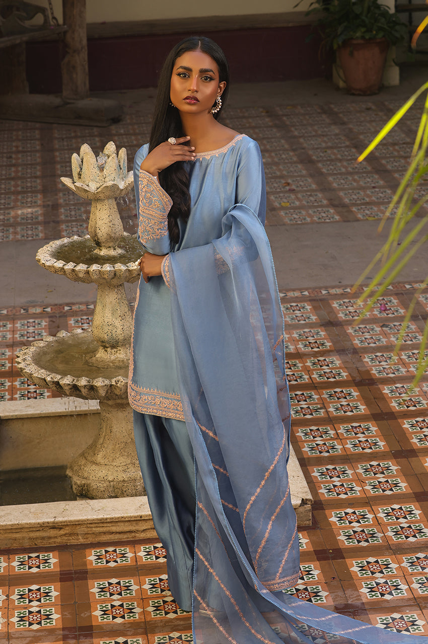 Ermak RTD – Sadaf Amir